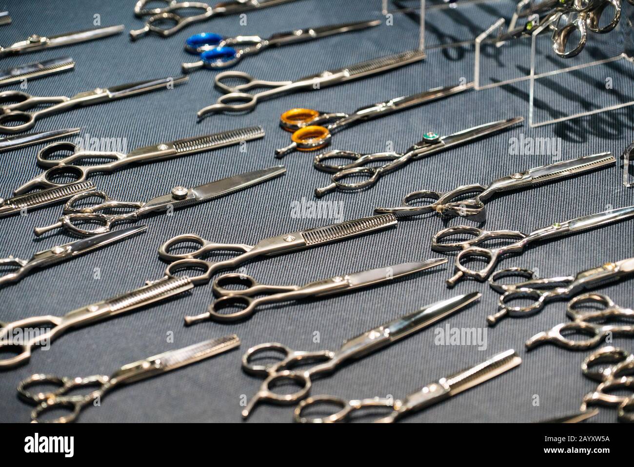 Professional collection hi-res stock photography and images - Alamy