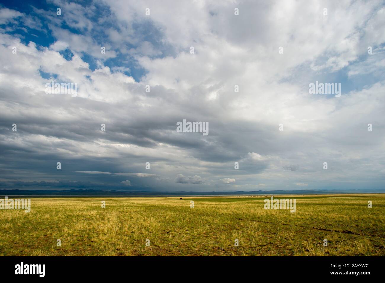 Landscape in Tuul River valley, Hustai National Park, Mongolia Stock ...
