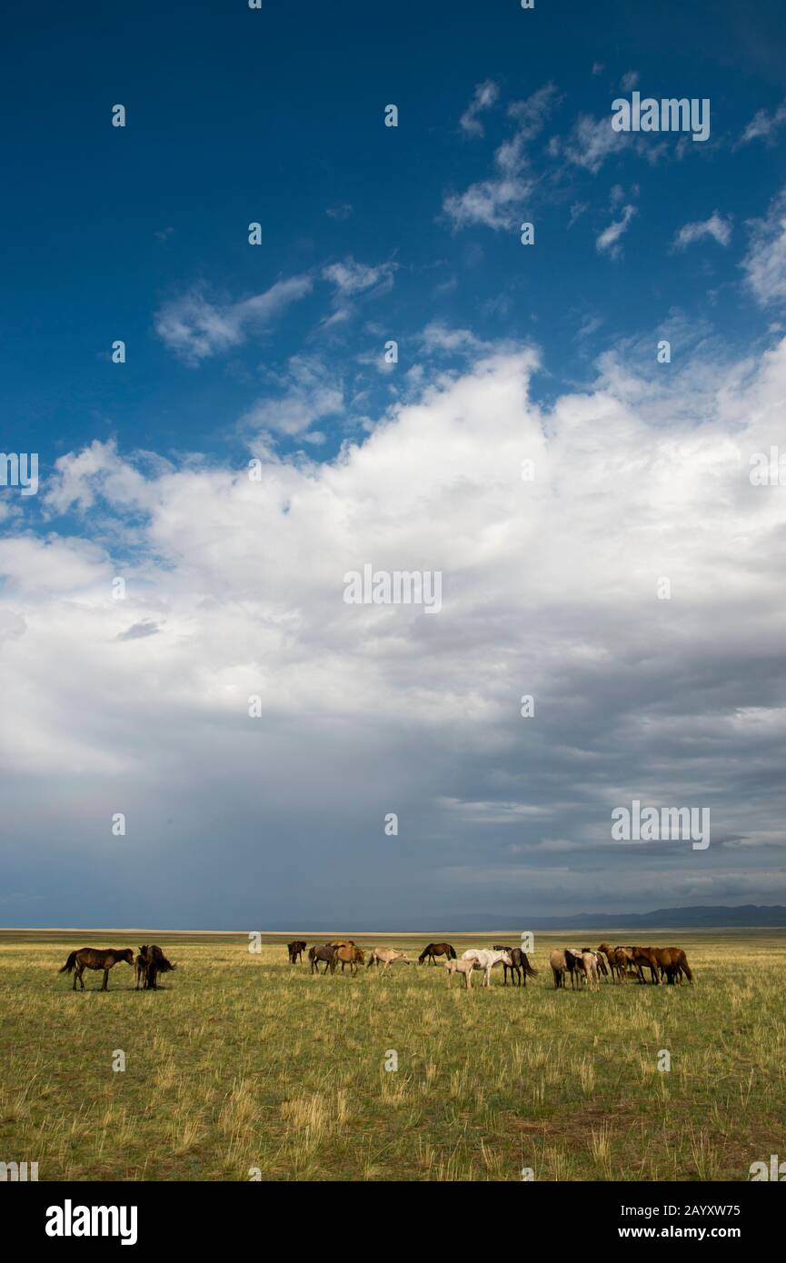 Tuul valley hi-res stock photography and images - Alamy