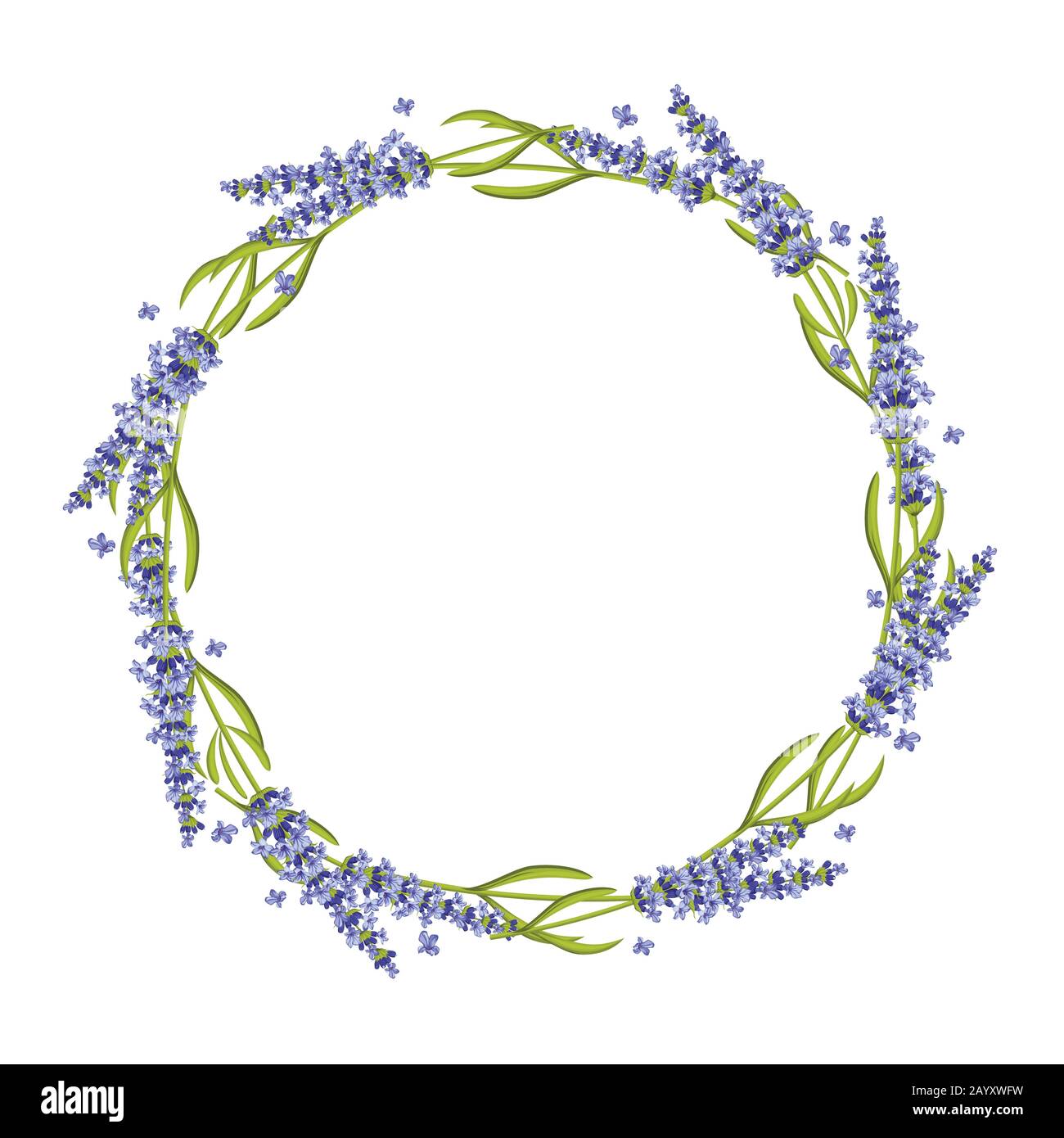 Lavender round frame, wreath. Floral lavender frame, flower wreath ...