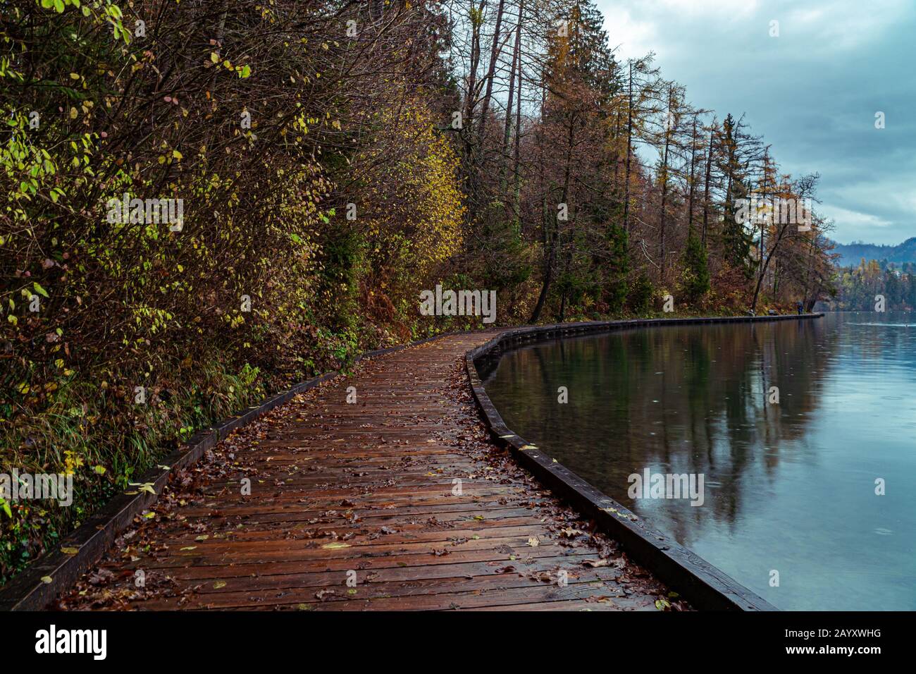 Walk way boardwalk path nature hi-res stock photography and images - Alamy