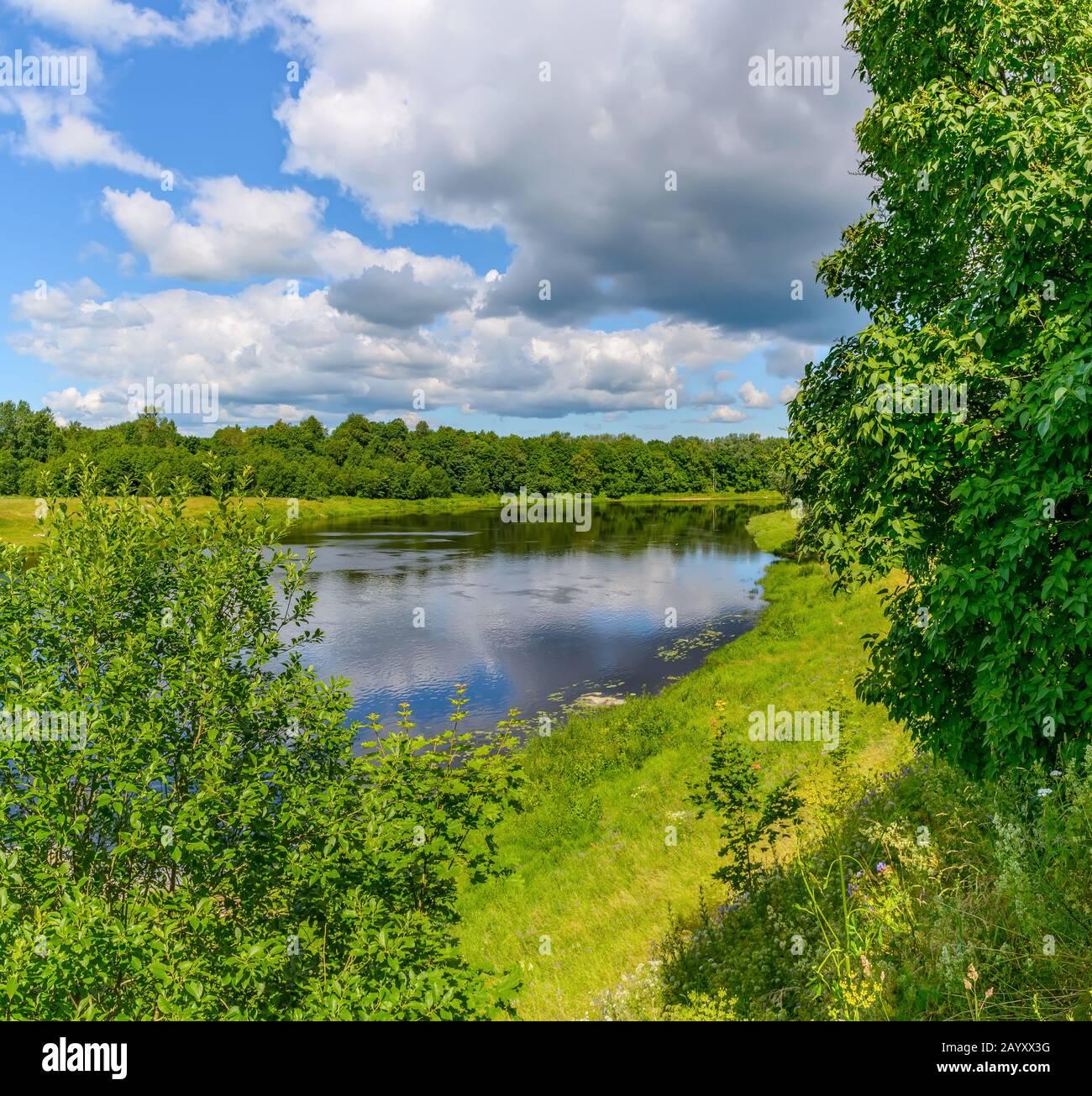 A sunny July day in a park on the banks of the Luga River in Kingisepp ...