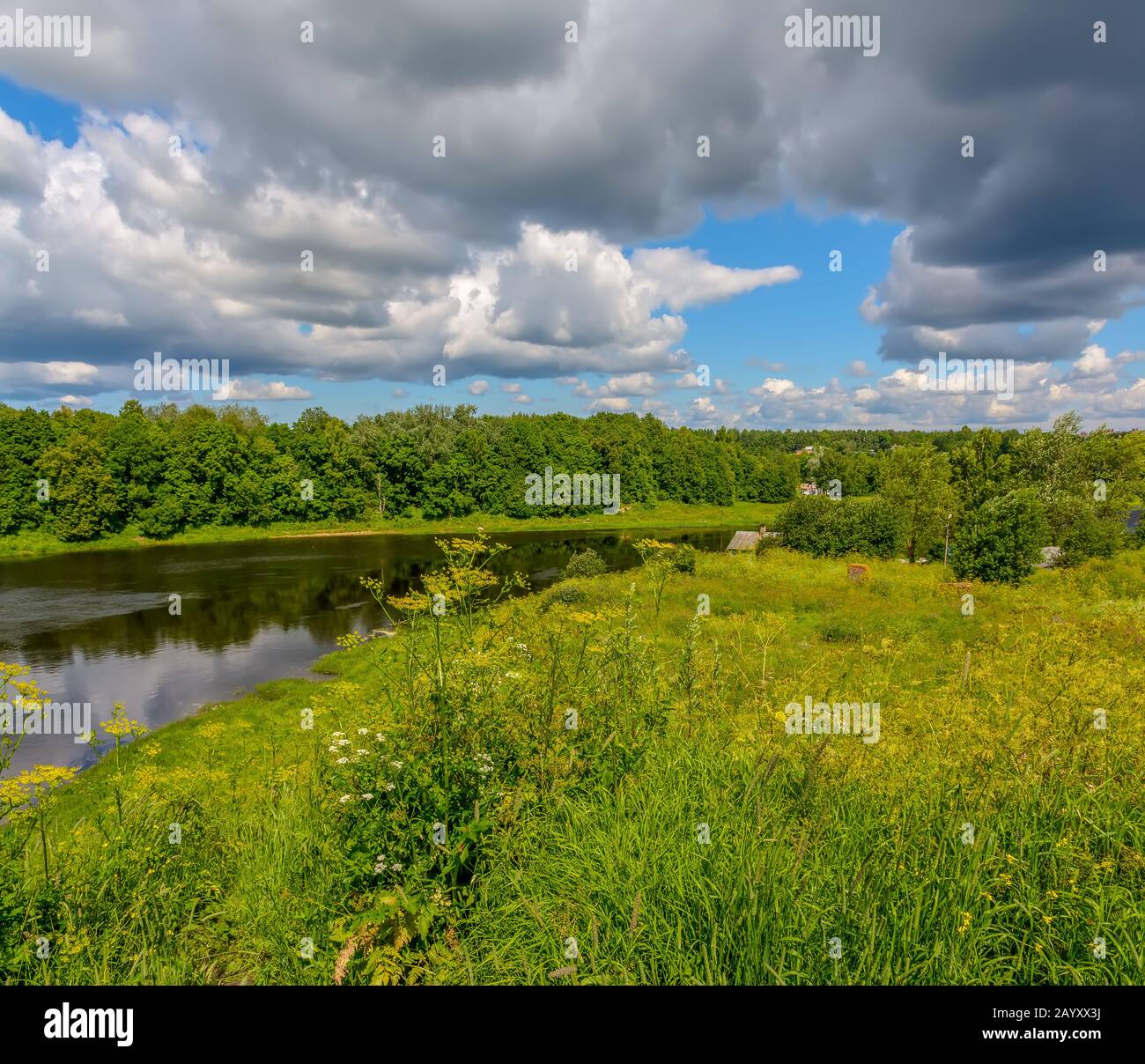 A sunny July day in a park on the banks of the Luga River in Kingisepp ...