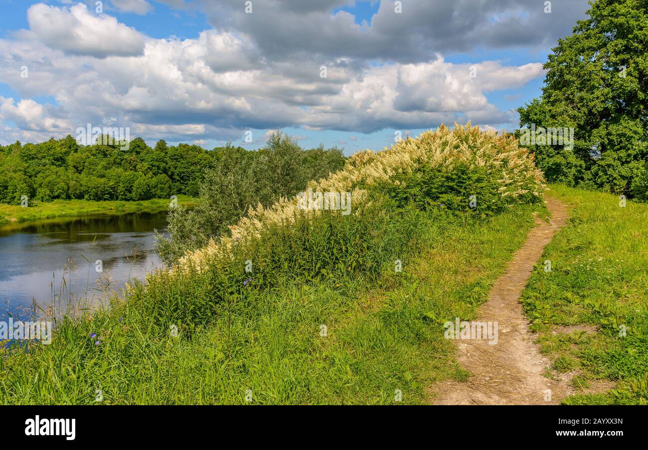A sunny July day in a park on the banks of the Luga River in Kingisepp ...