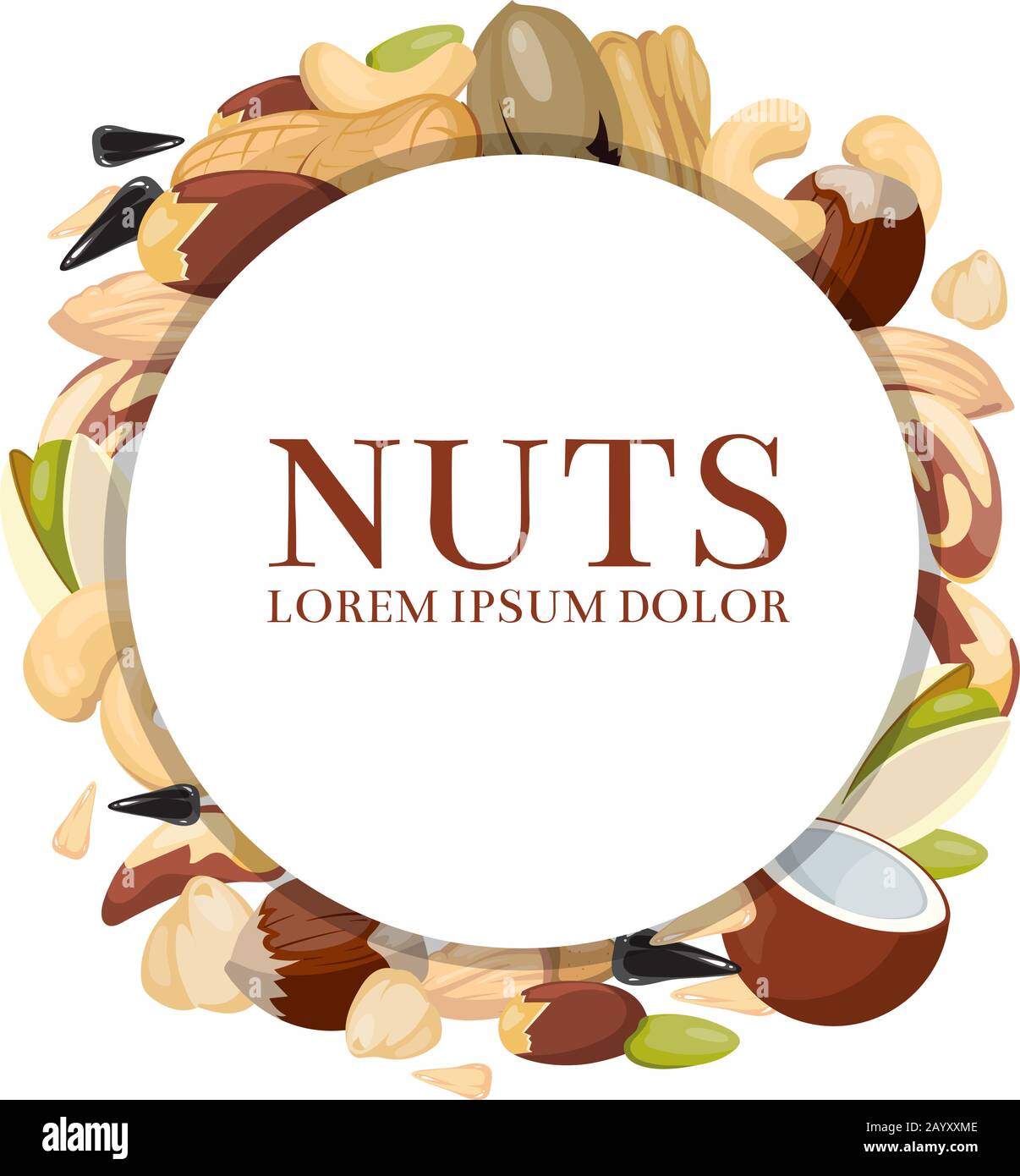 Healthy food vector concept with different nuts. Round banner with nuts ...
