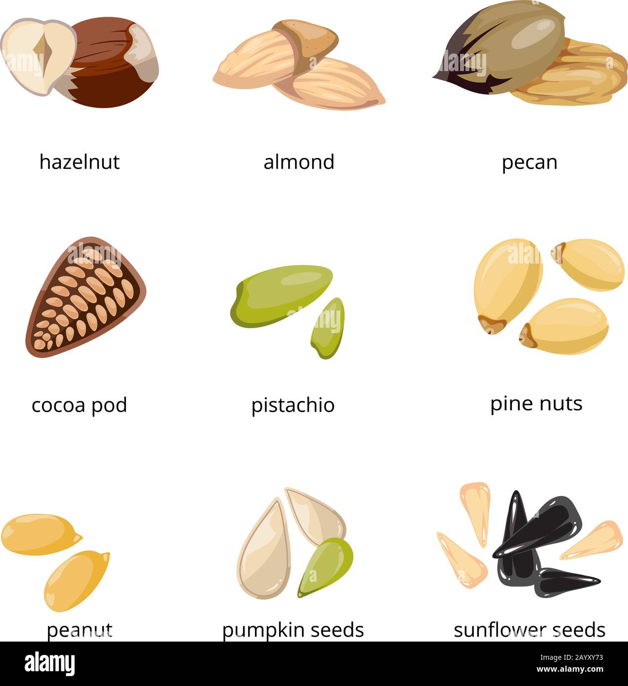 Seeds and nuts vector icons in cartoon style. Set of nuts hazelnut and ...