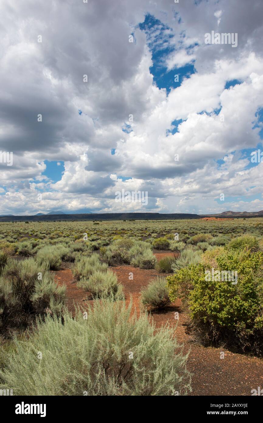 View of the prairie landscape at the Wukoki Pueblo in the Wupatki ...