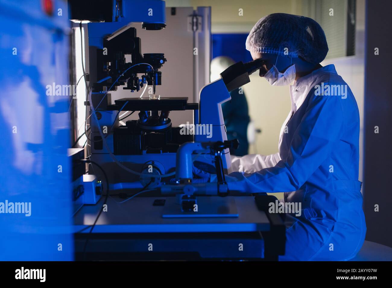 In a Modern Laboratory Scientist Conduct Experiments. The embryologist ...