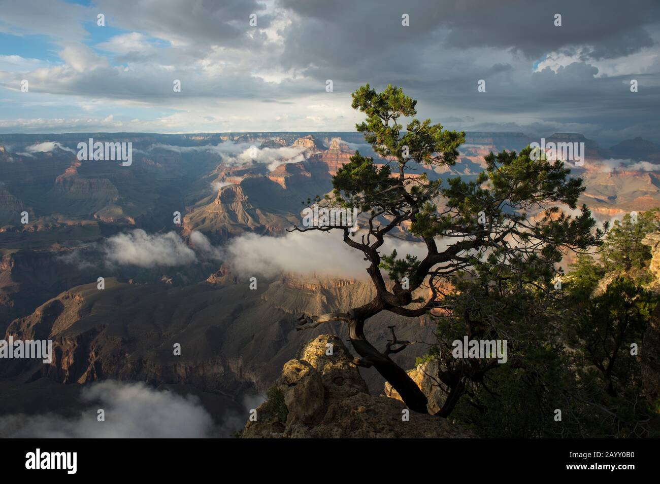 View of the Grand Canyon from the Yavapai Point area on the South Rim ...