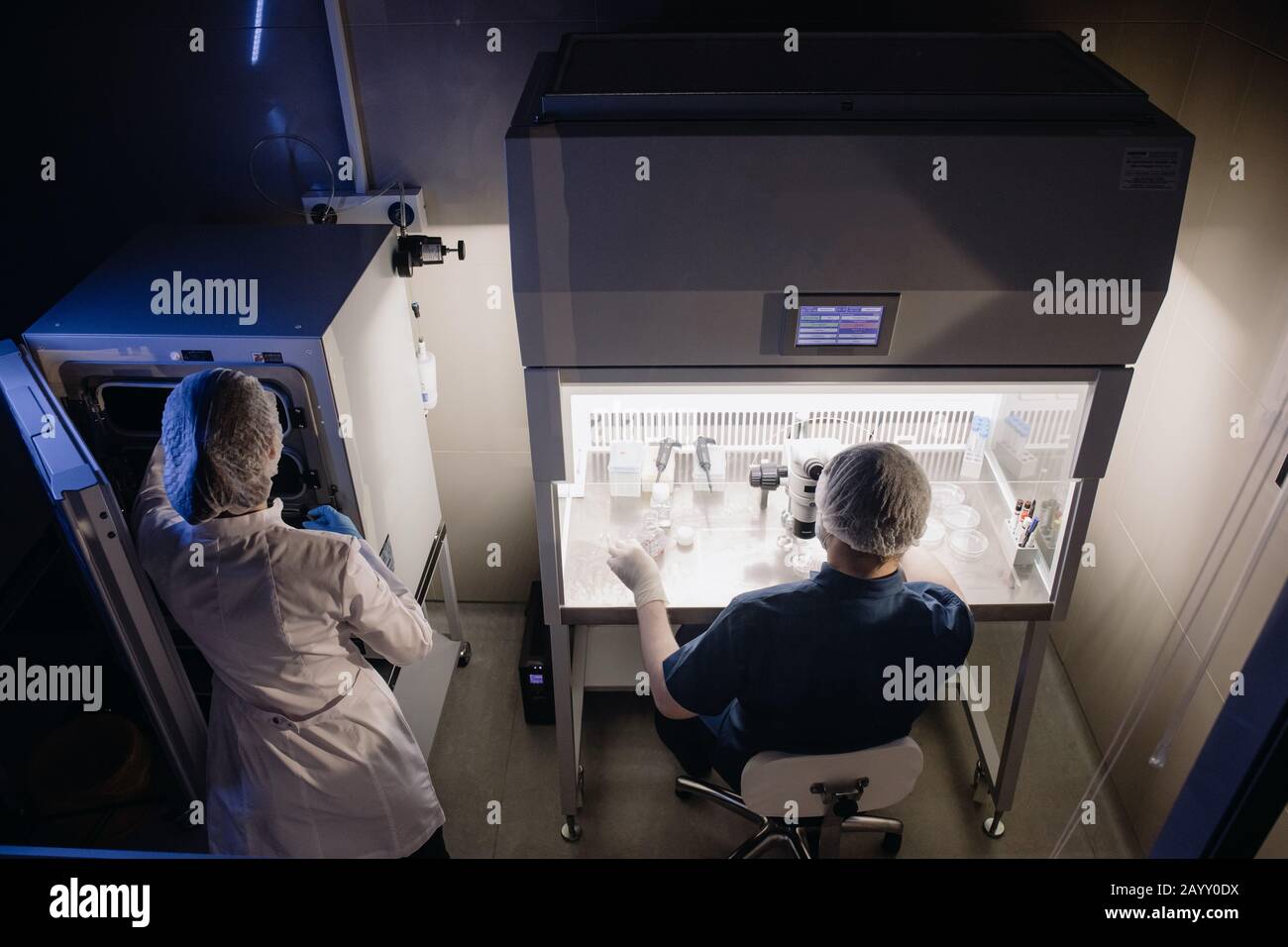 In a Modern Laboratory Scientist Conduct Experiments. Chief Research Scientist Adjusts Specimen ...