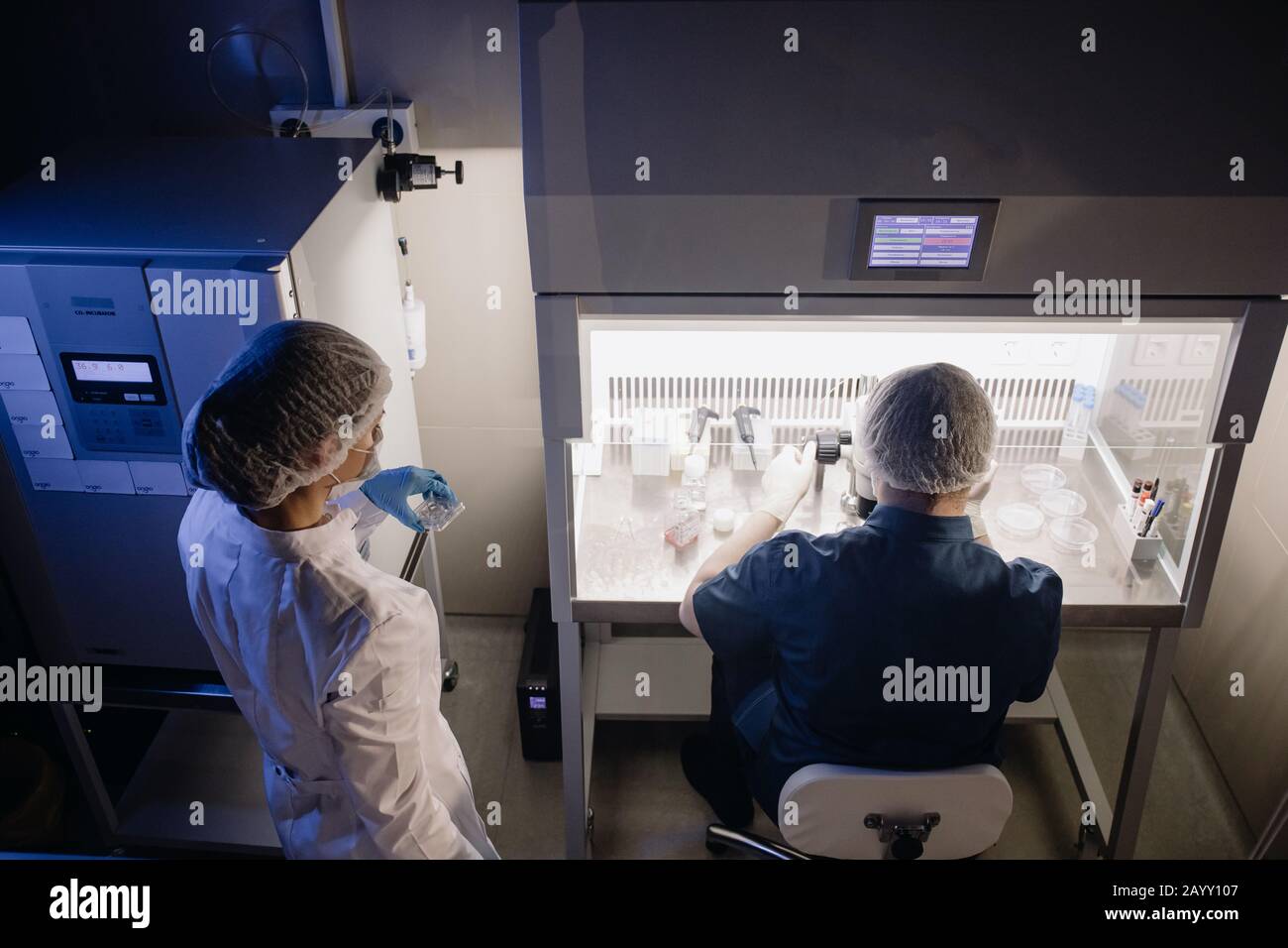 In a Modern Laboratory Scientist Conduct Experiments. Chief Research ...