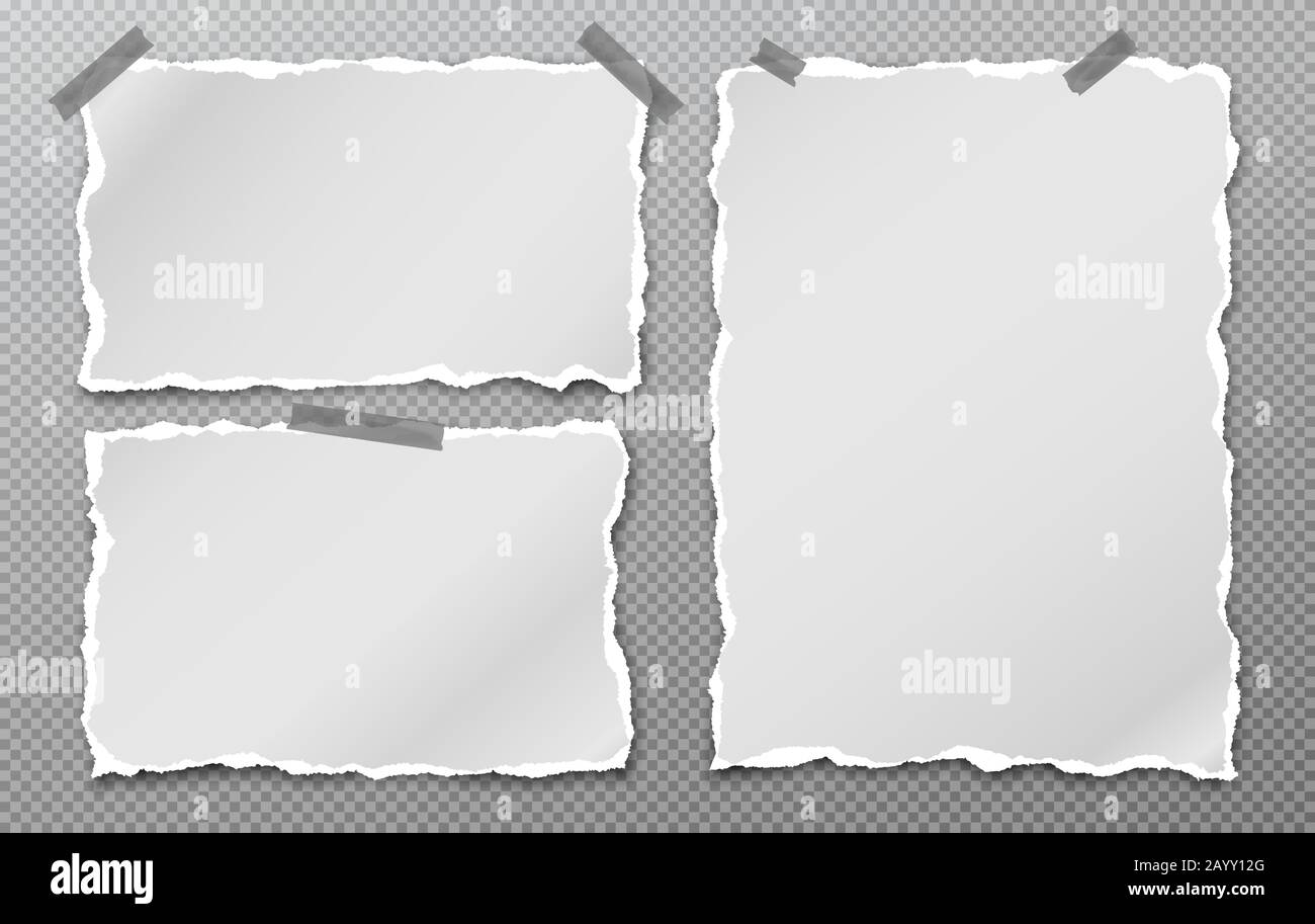 Torn white blank and grainy note, notebook paper strips, pieces stuck ...