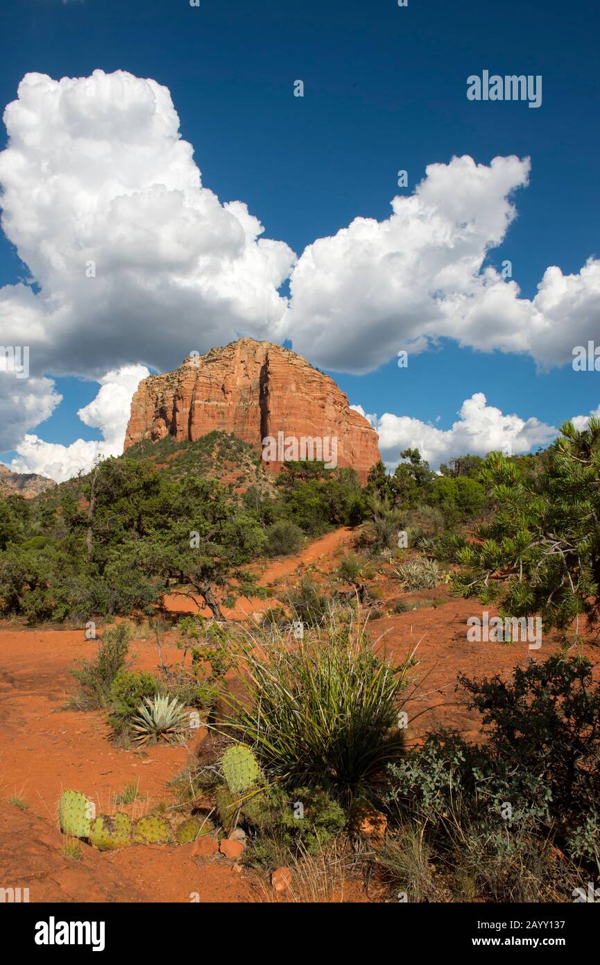 View of Courthouse Butte near Sedona, Arizona, USA Stock Photo - Alamy