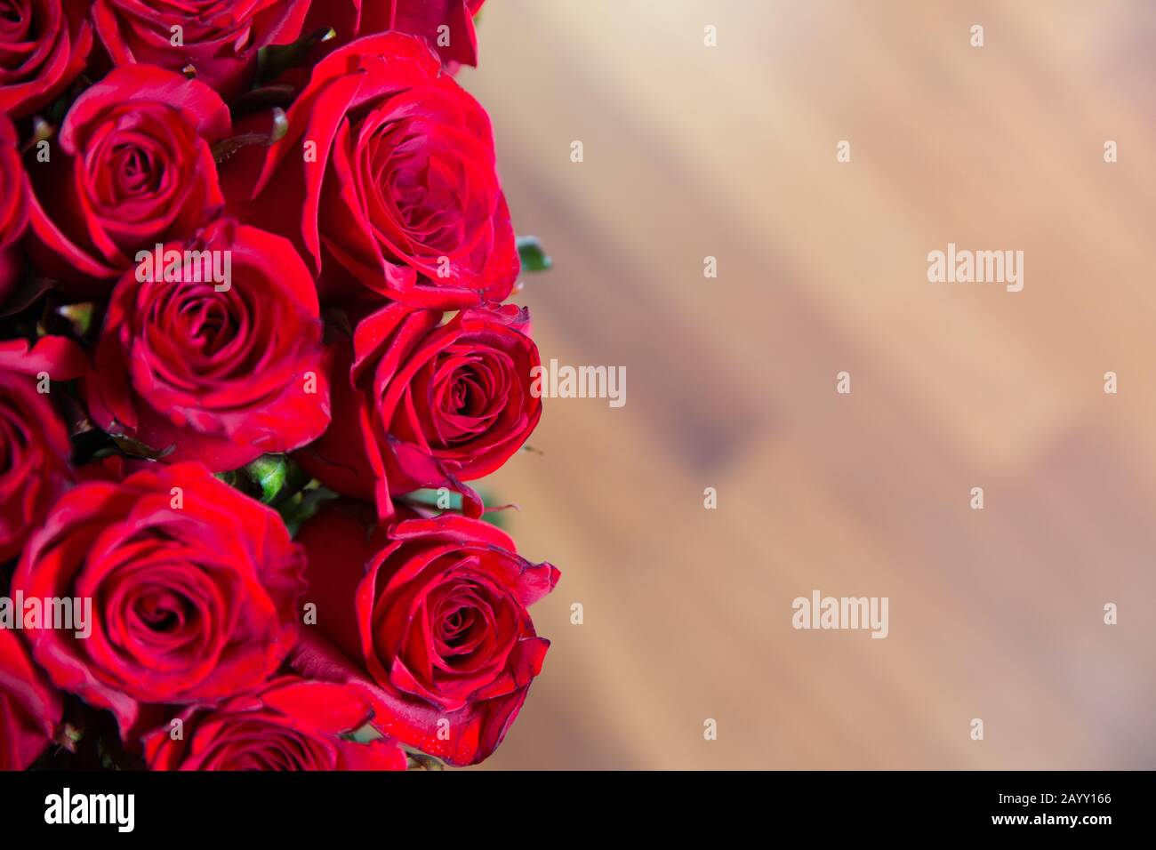 Rose blurred background. Roses flower texture. Red rose. Bouquet of red ...