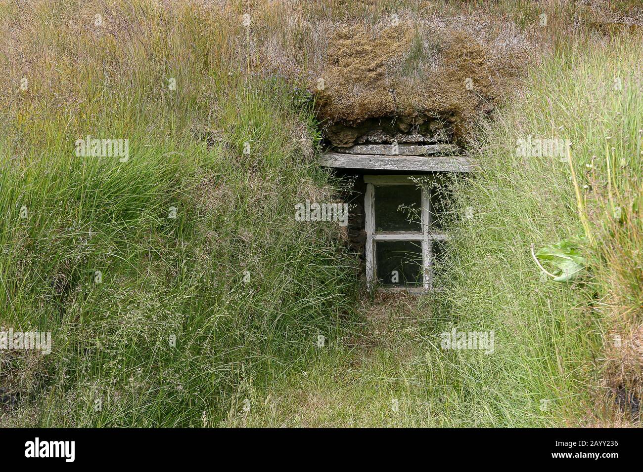 Very old window covered in grass Stock Photo - Alamy