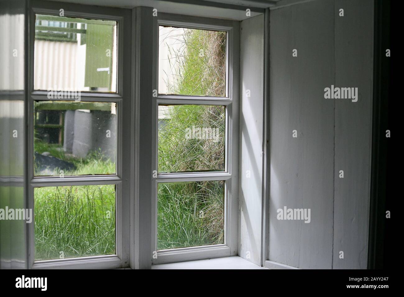 Very old white timber window covered in grass from inside Stock Photo ...