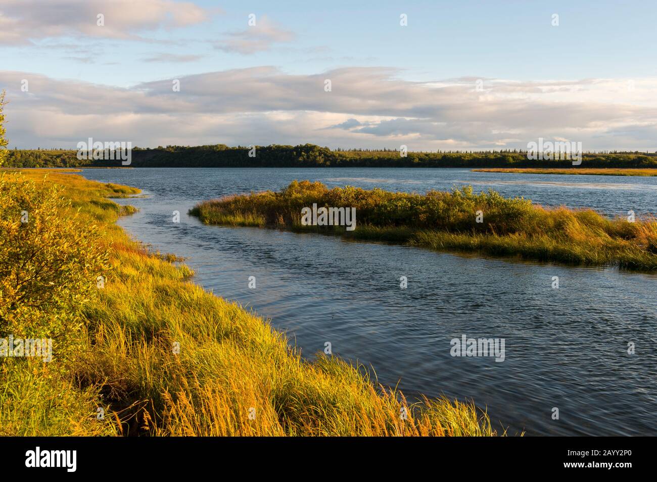 Naknek alaska hi-res stock photography and images - Alamy