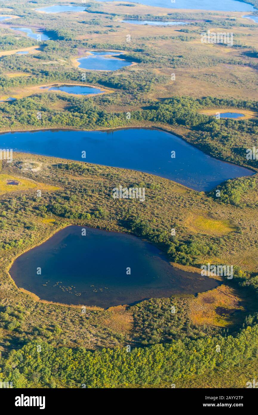 Tundra muskeg hi-res stock photography and images - Alamy
