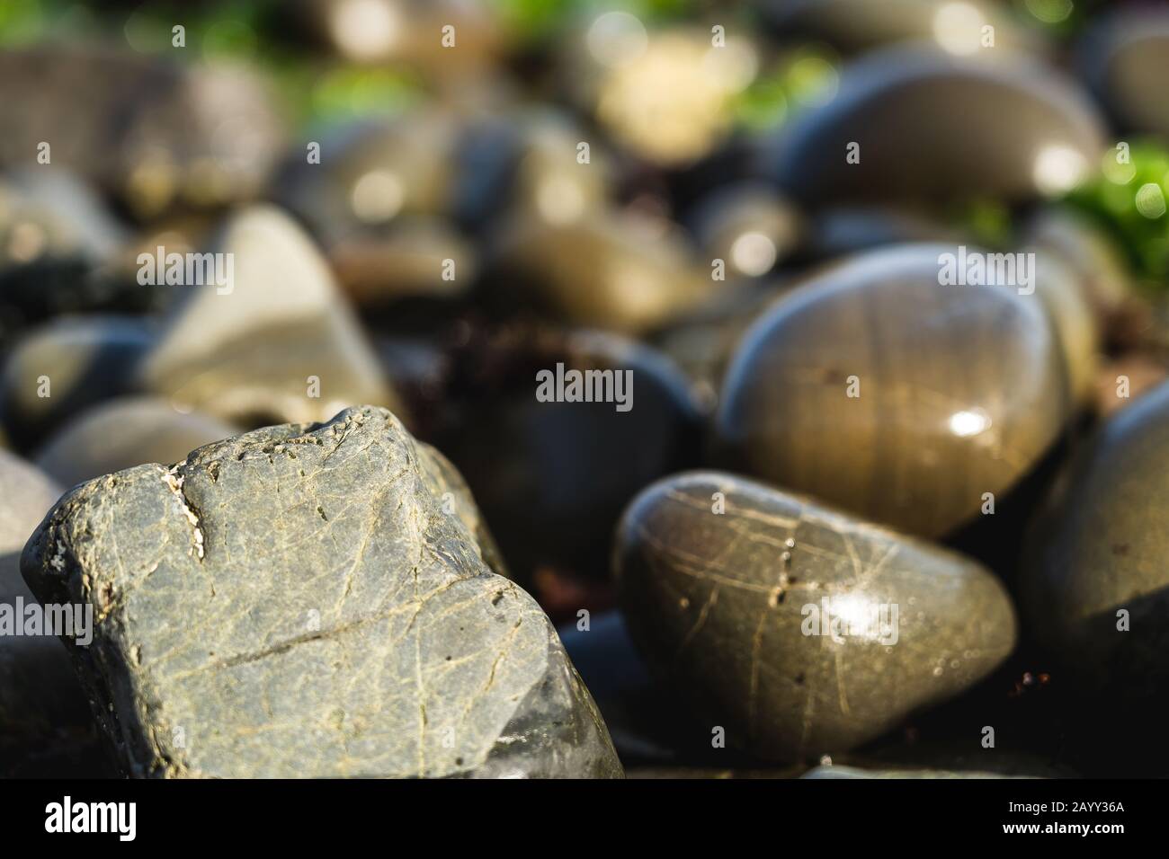 Smooth Round Pebble; Natura Background. Textures Stock Photo - Alamy