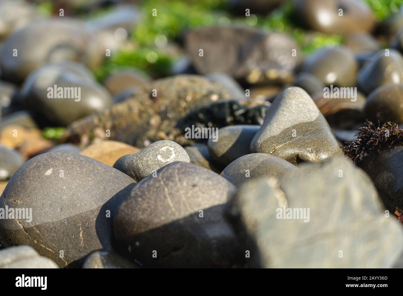 Smooth Round Pebble; Natura Background. Textures Stock Photo - Alamy