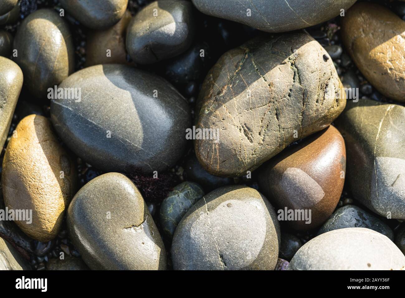 Smooth Round Pebble; Natura Background. Textures Stock Photo - Alamy