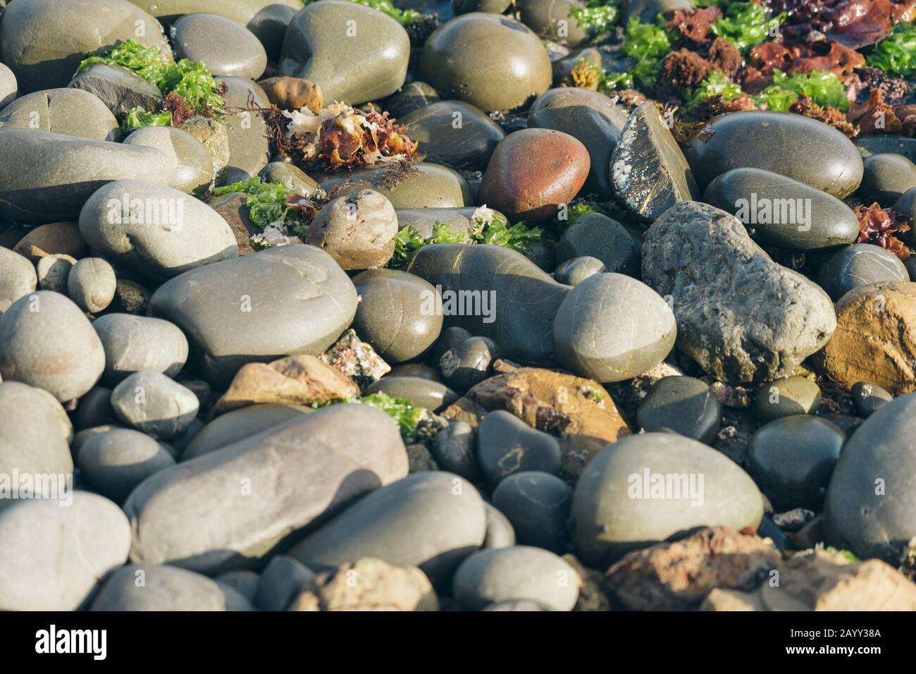 Natura textures hi-res stock photography and images - Alamy