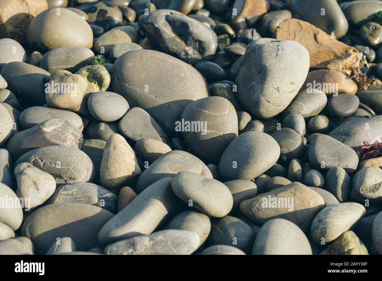 Smooth Round Pebble; Natura Background. Textures Stock Photo - Alamy