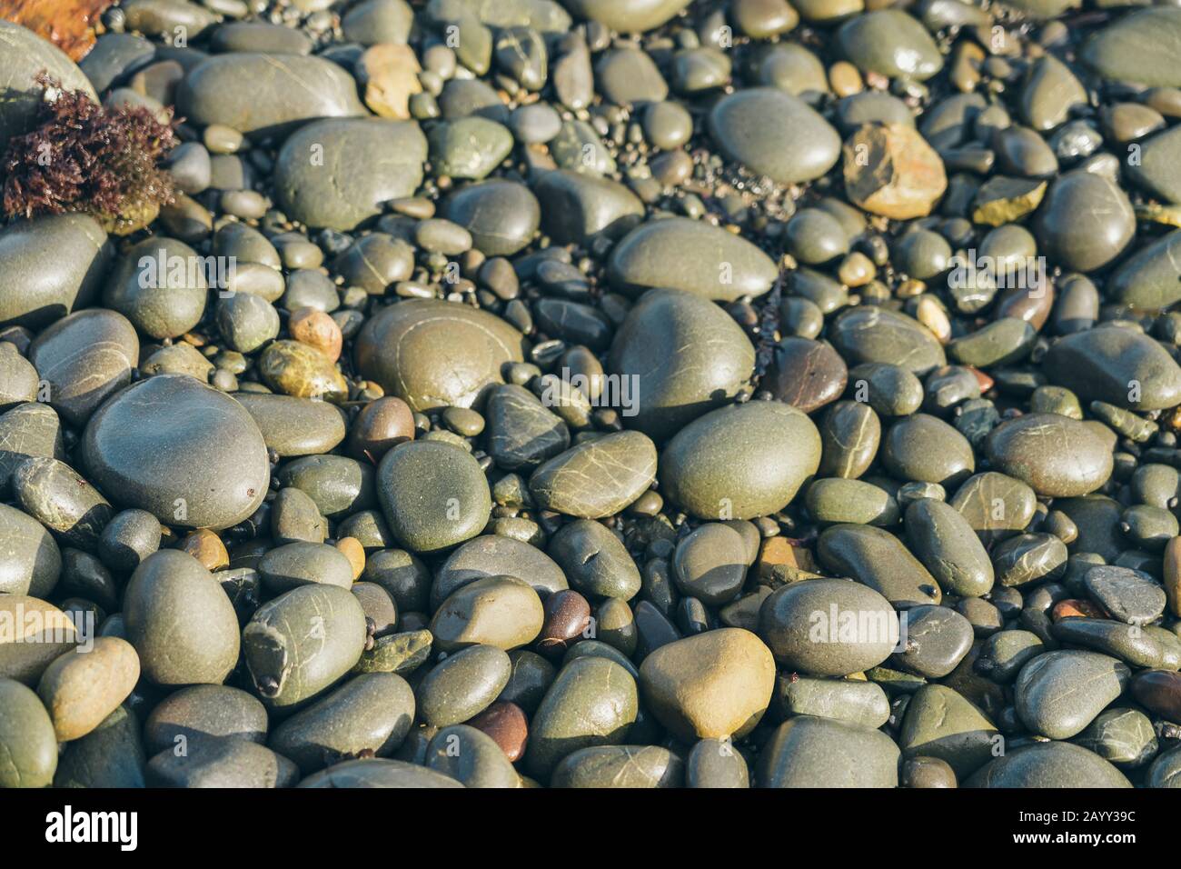Smooth Round Pebble; Natura Background. Textures Stock Photo - Alamy