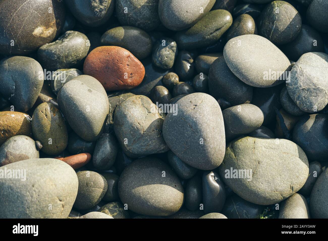 Smooth Round Pebble; Natura Background. Textures Stock Photo - Alamy
