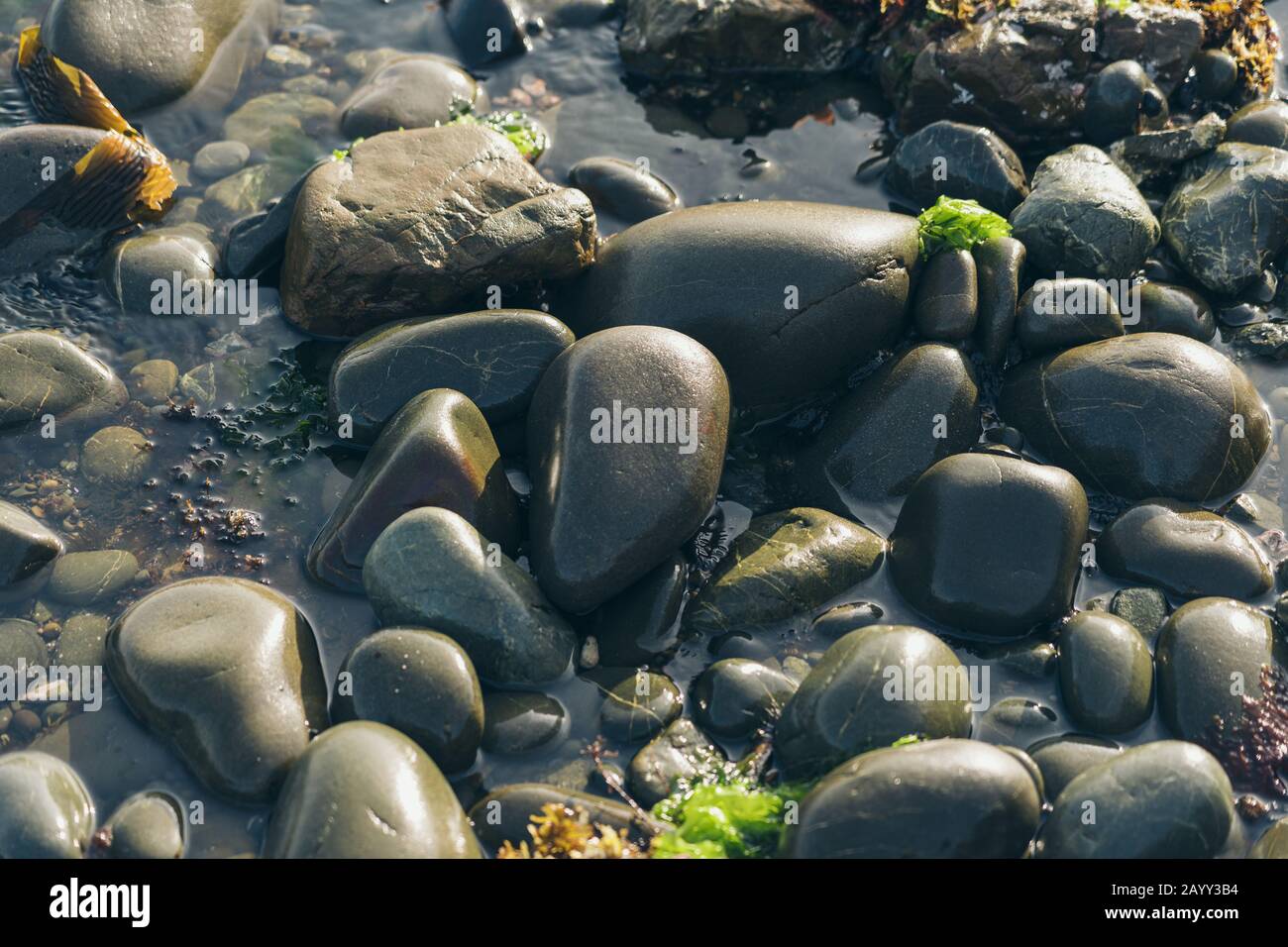 Smooth Round Pebble; Natura Background. Textures Stock Photo - Alamy