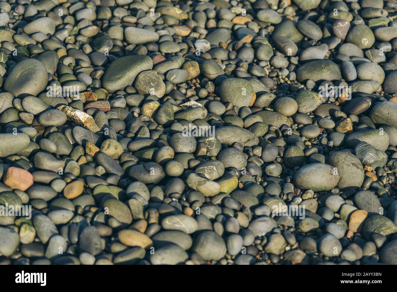 Natura textures hi-res stock photography and images - Alamy