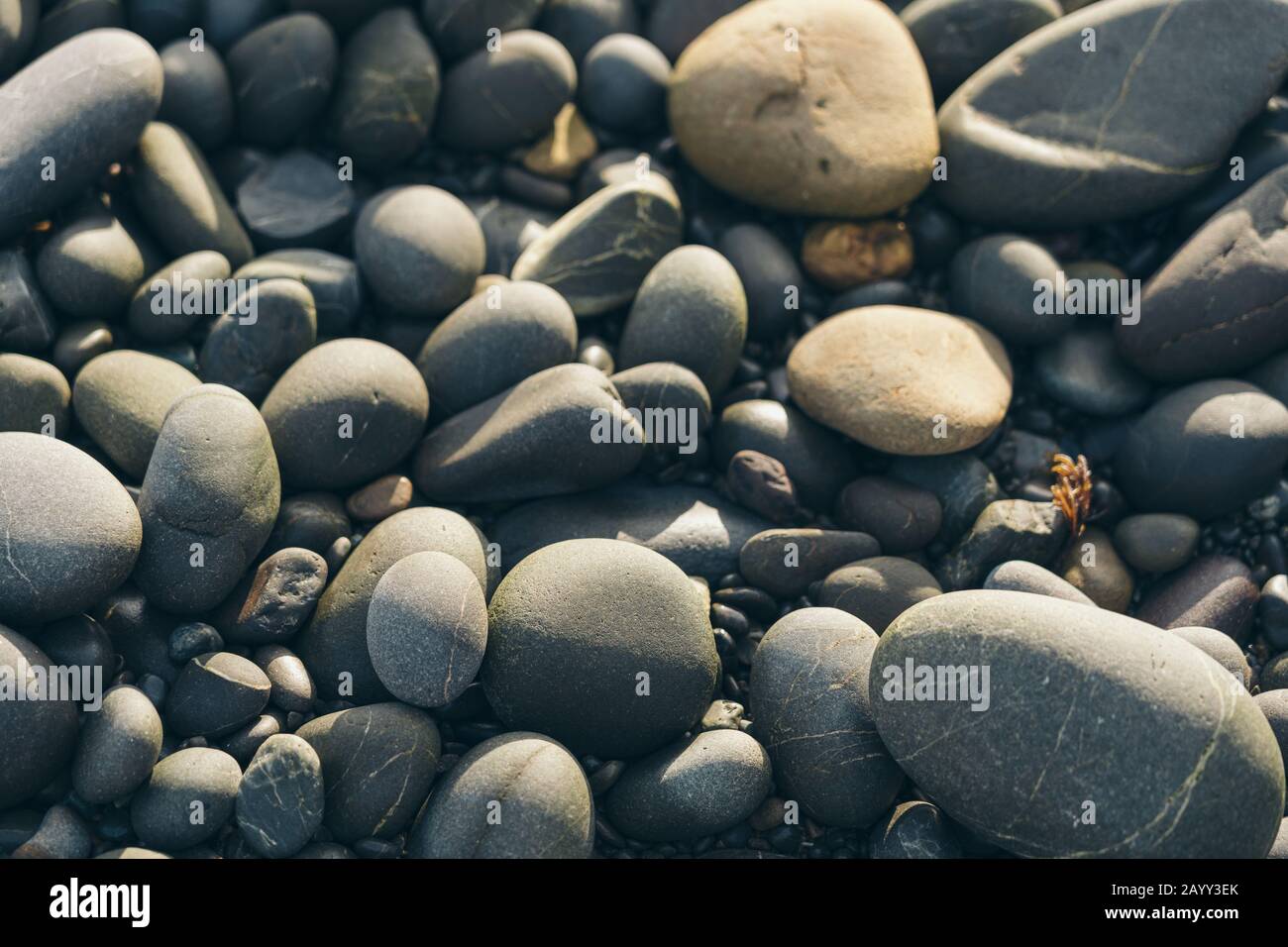 Smooth Round Pebble; Natura Background. Textures Stock Photo - Alamy