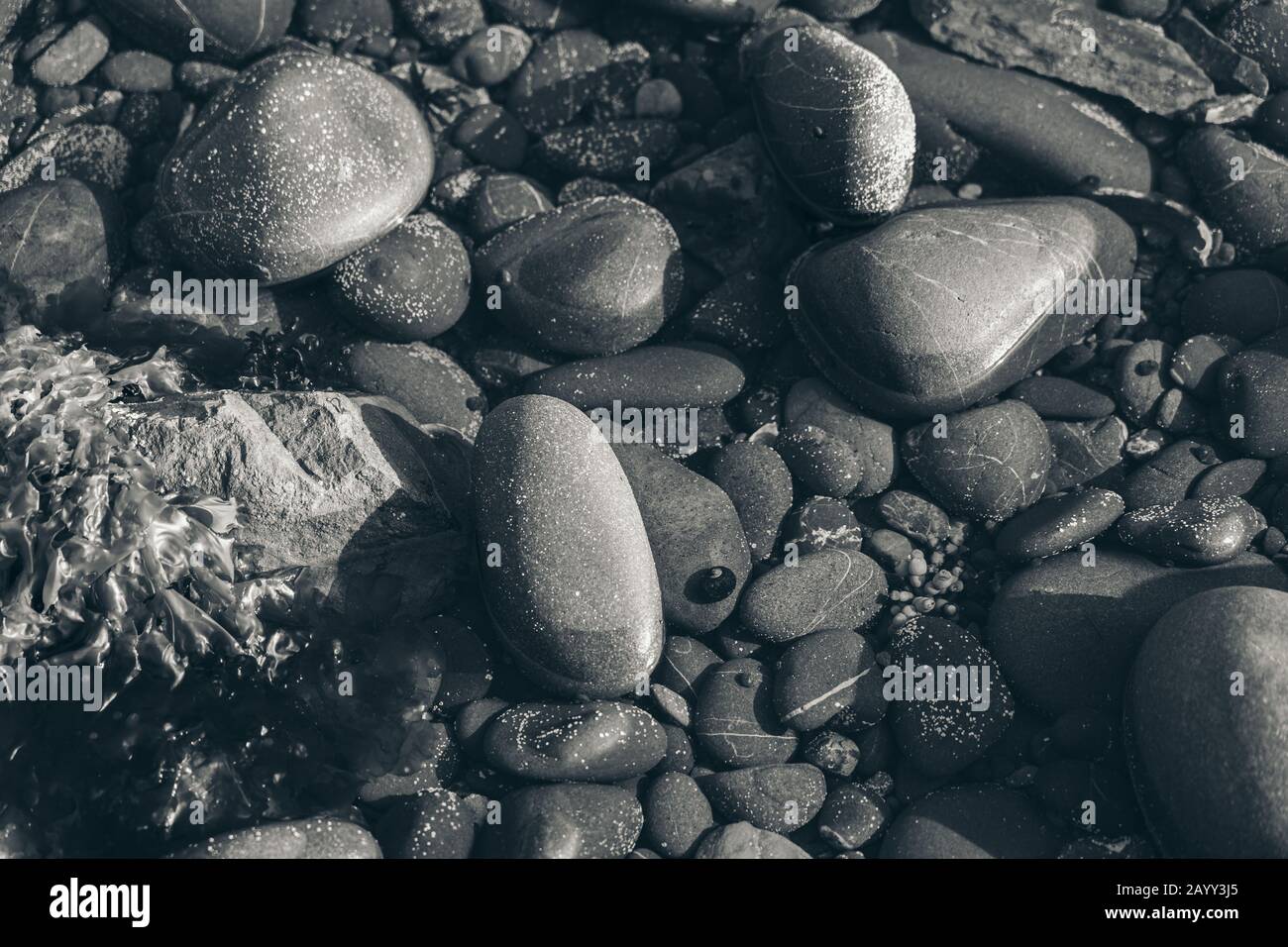 Smooth Round Pebble; Natura Background. Textures Stock Photo - Alamy