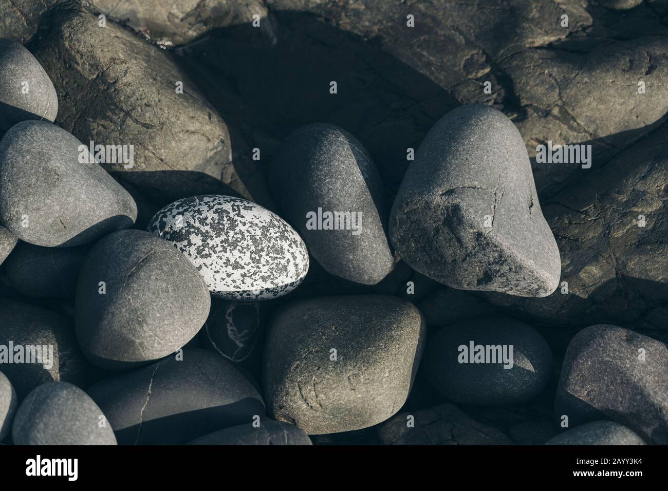 Smooth Round Pebble; Natura Background. Textures Stock Photo - Alamy