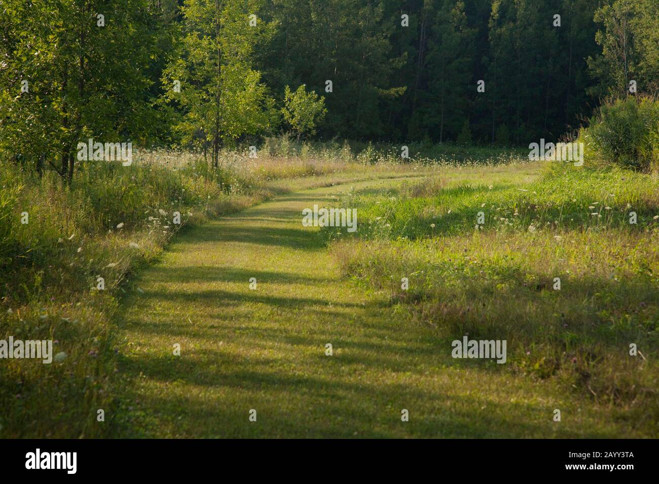 Path mowed in grass, Door County, Wisconsin Stock Photo - Alamy