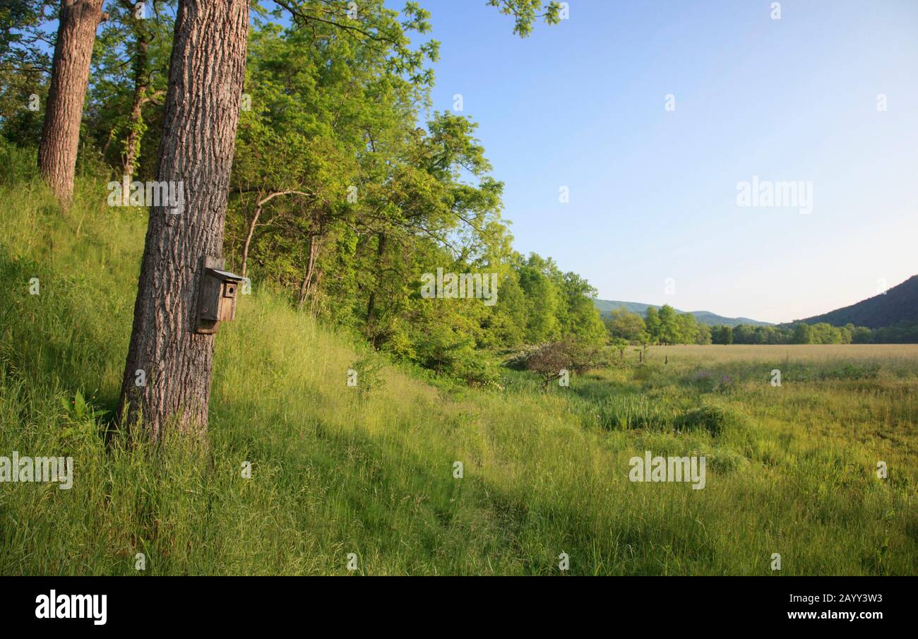 Fort lewis hi-res stock photography and images - Alamy