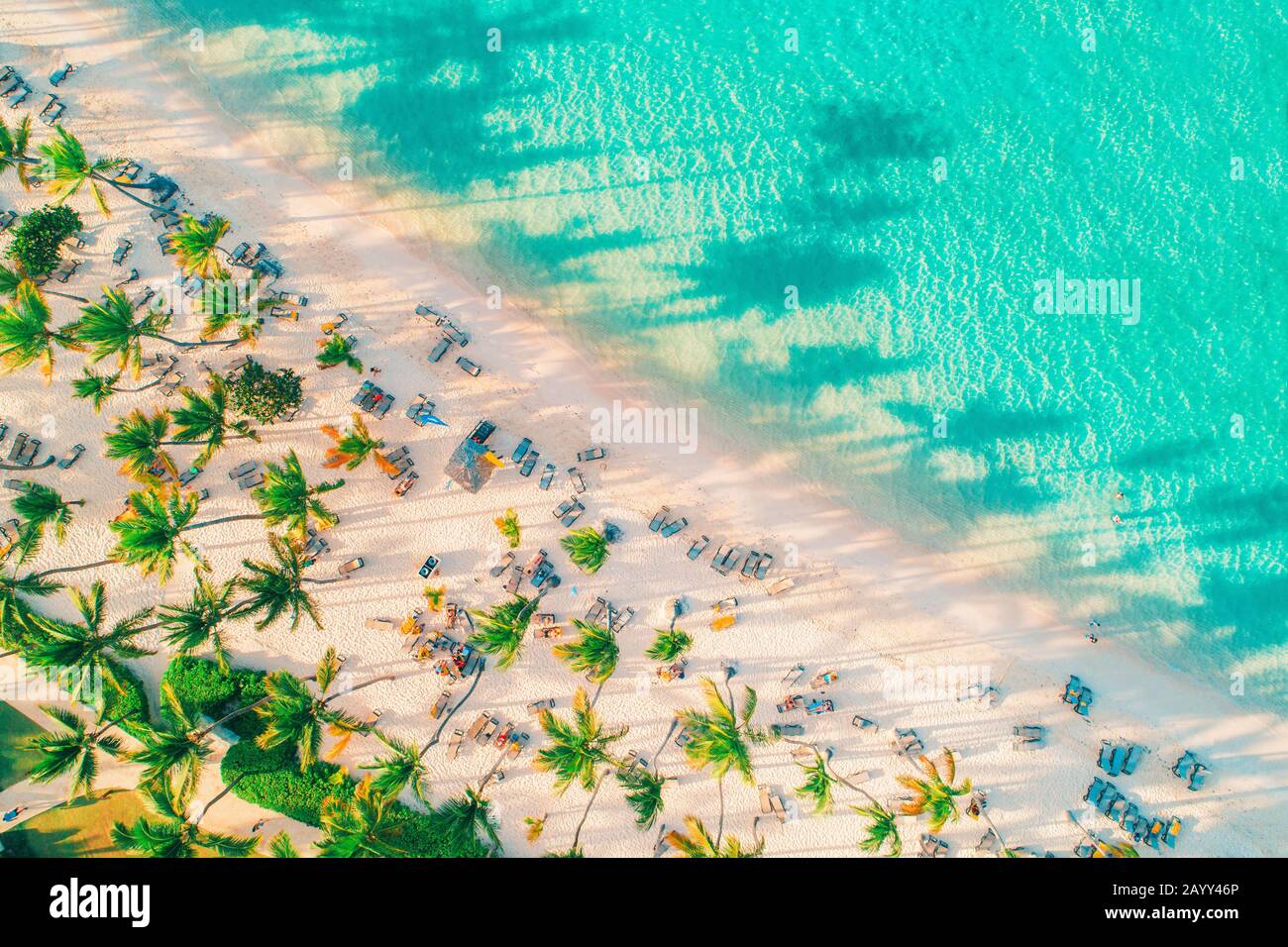 Aerial view of tropical beach Stock Photo - Alamy