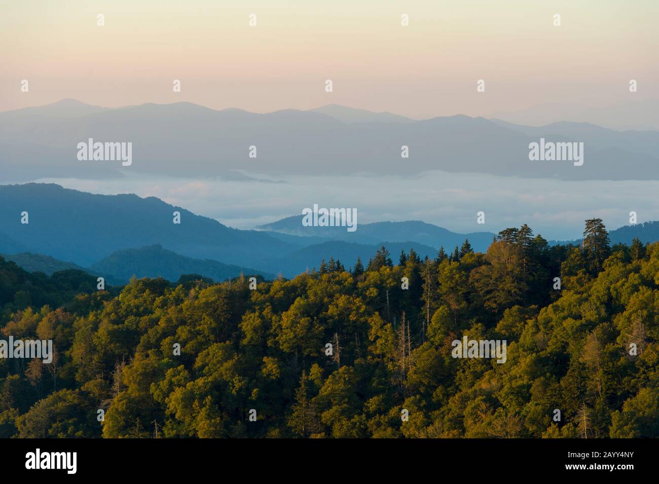 View of the Great Smoky Mountains National Park in North Carolina, USA ...