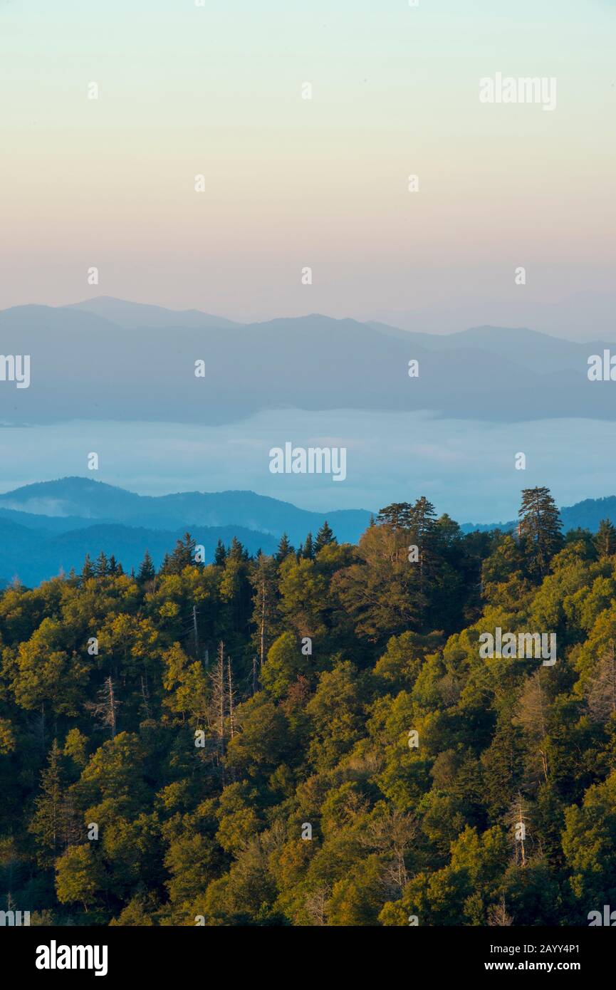 View of the Great Smoky Mountains National Park in North Carolina, USA ...