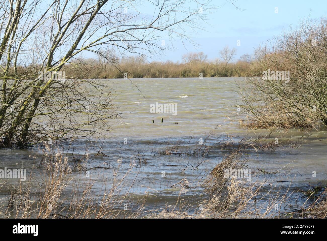 Washes Road Sutton Gault, flooded after Storm Dennis Stock Photo - Alamy