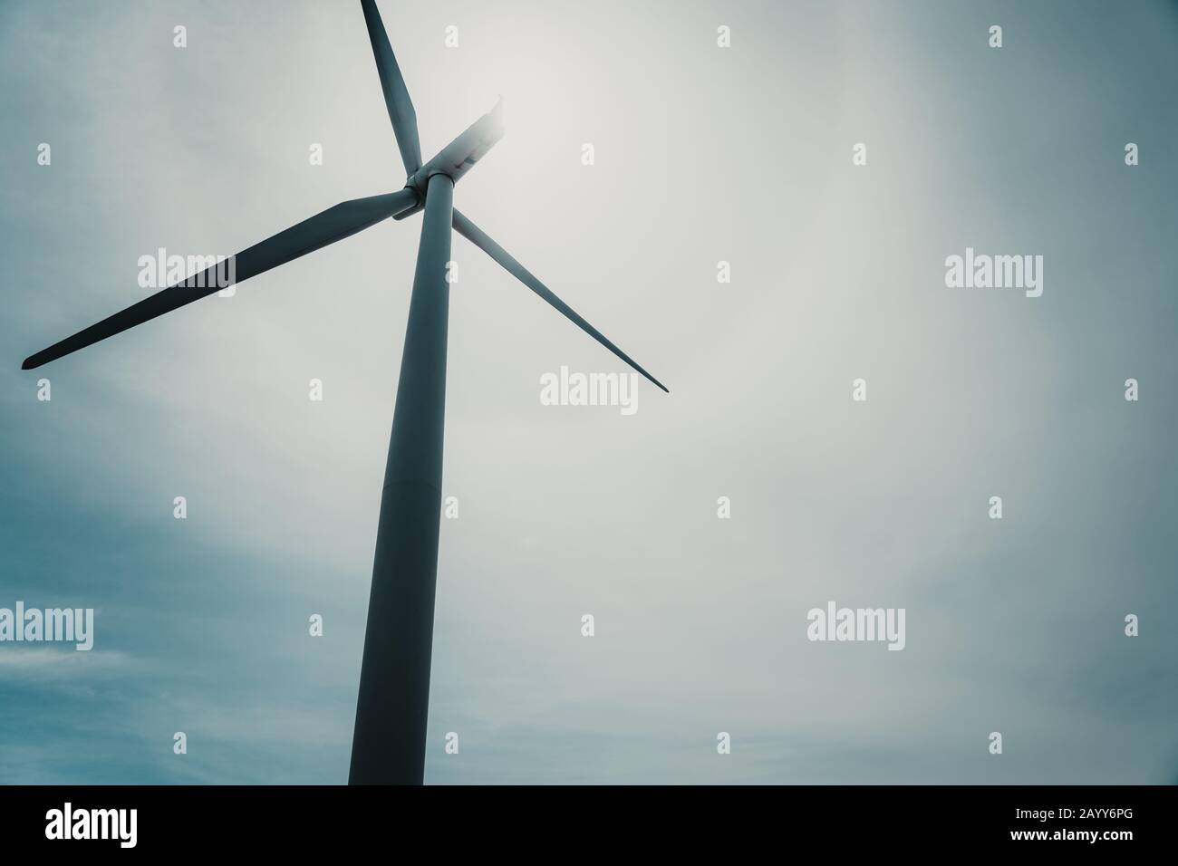 Wind Turbine farm in Wellington, New Zealand Stock Photo - Alamy