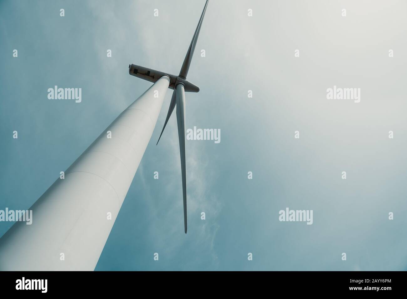 Wind Turbine farm in Wellington, New Zealand Stock Photo - Alamy