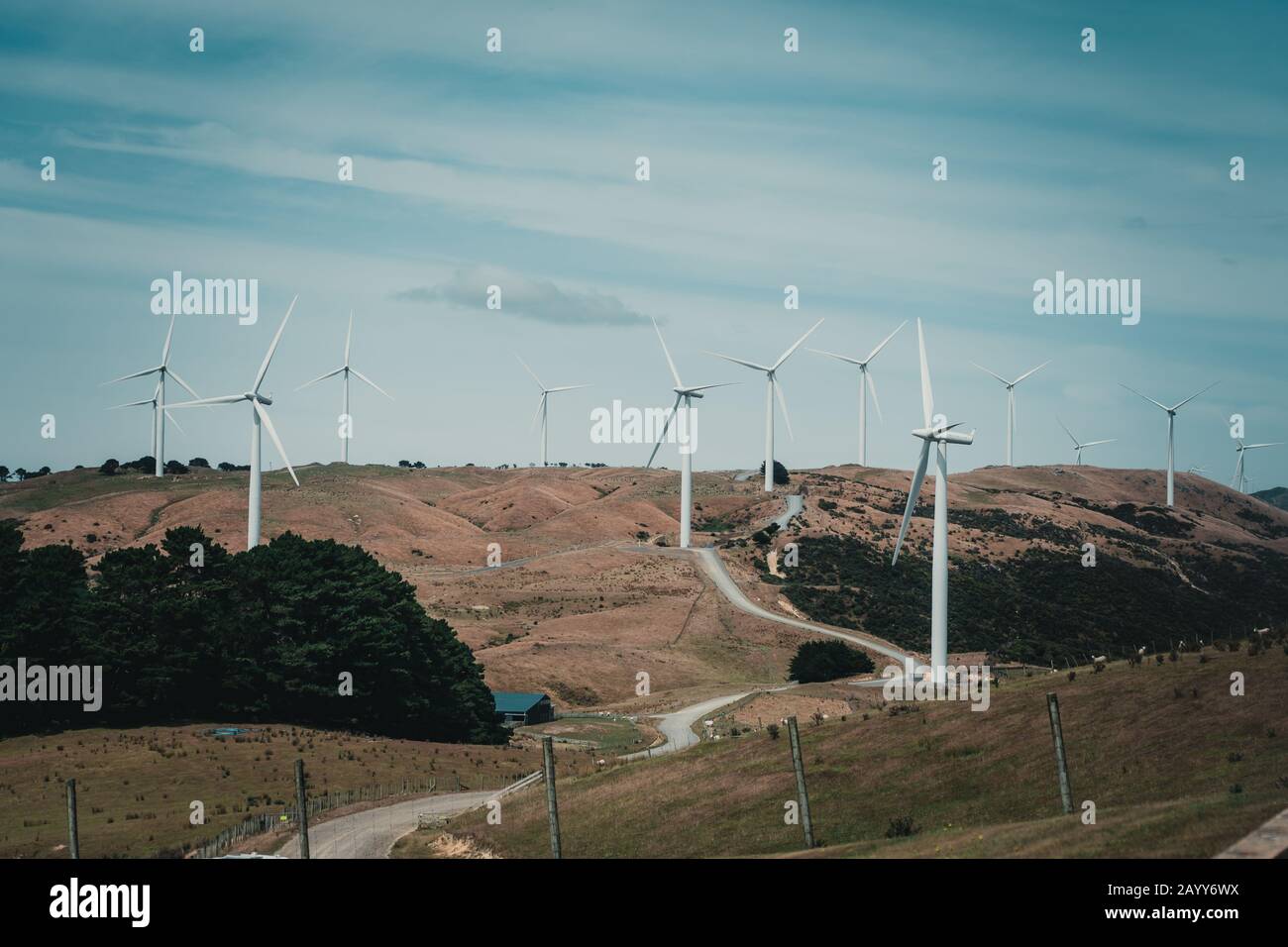 Makara bay hi-res stock photography and images - Alamy