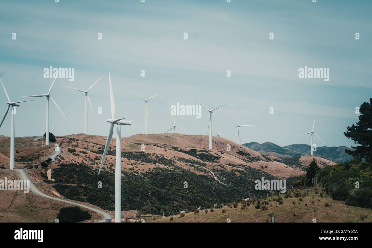 Landscape With Wind Turbine farm in Wellington, New Zealand Stock Photo ...