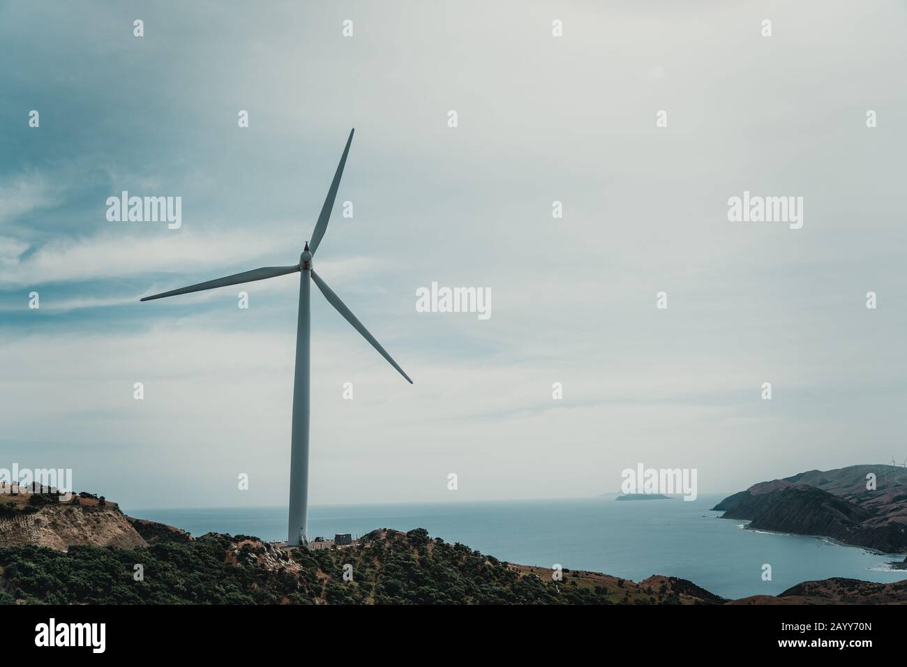 Landscape With Wind Turbine farm in Wellington, New Zealand Stock Photo ...