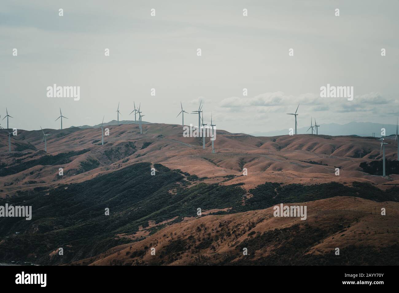 Landscape With Wind Turbine farm in Wellington, New Zealand Stock Photo ...