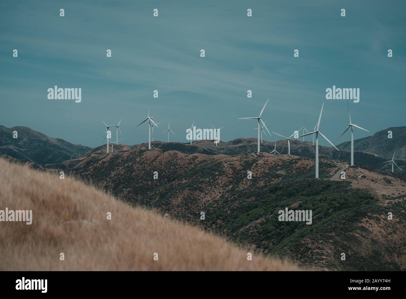 Landscape With Wind Turbine farm in Wellington, New Zealand Stock Photo ...