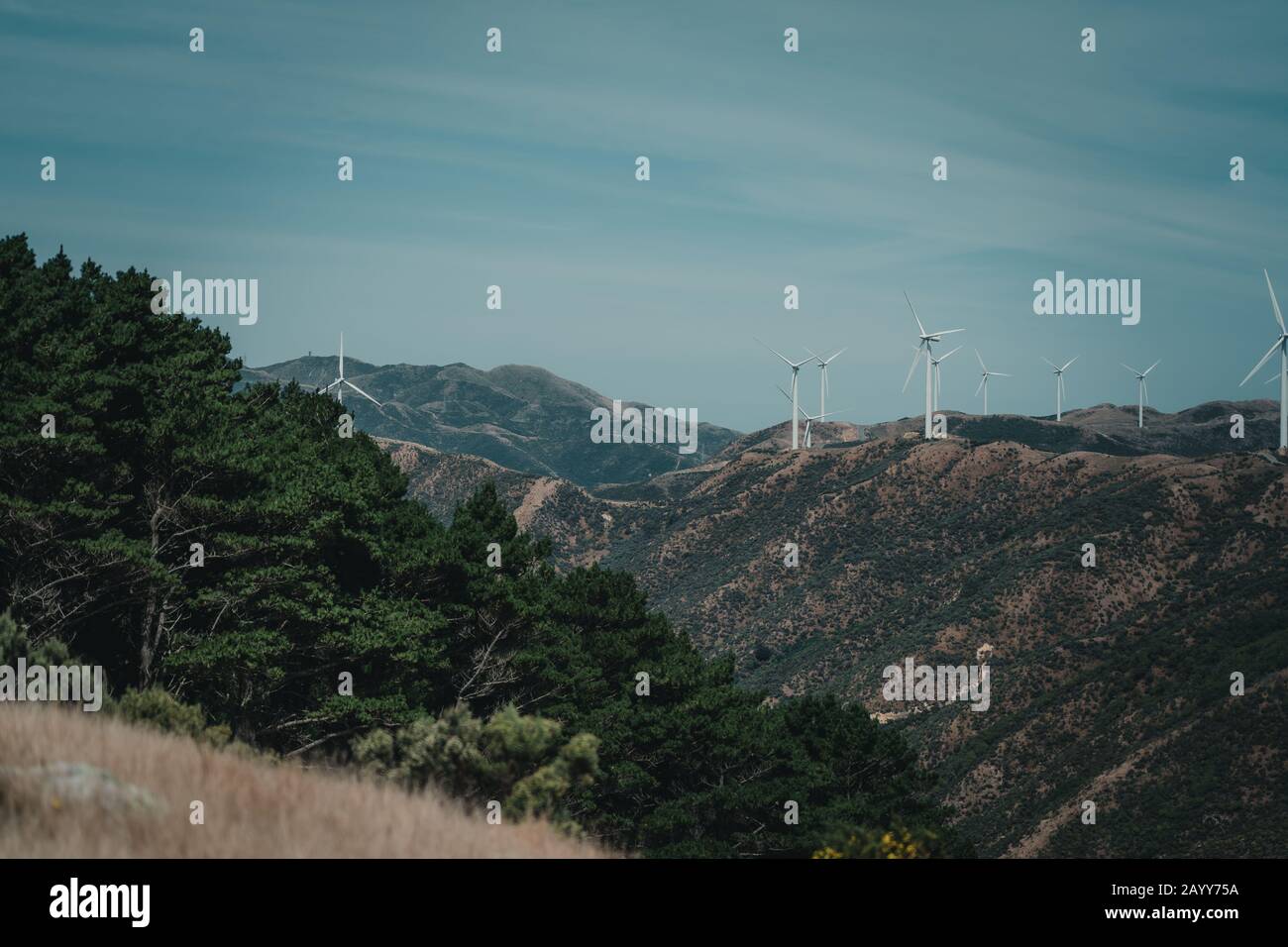 Landscape With Wind Turbine farm in Wellington, New Zealand Stock Photo ...