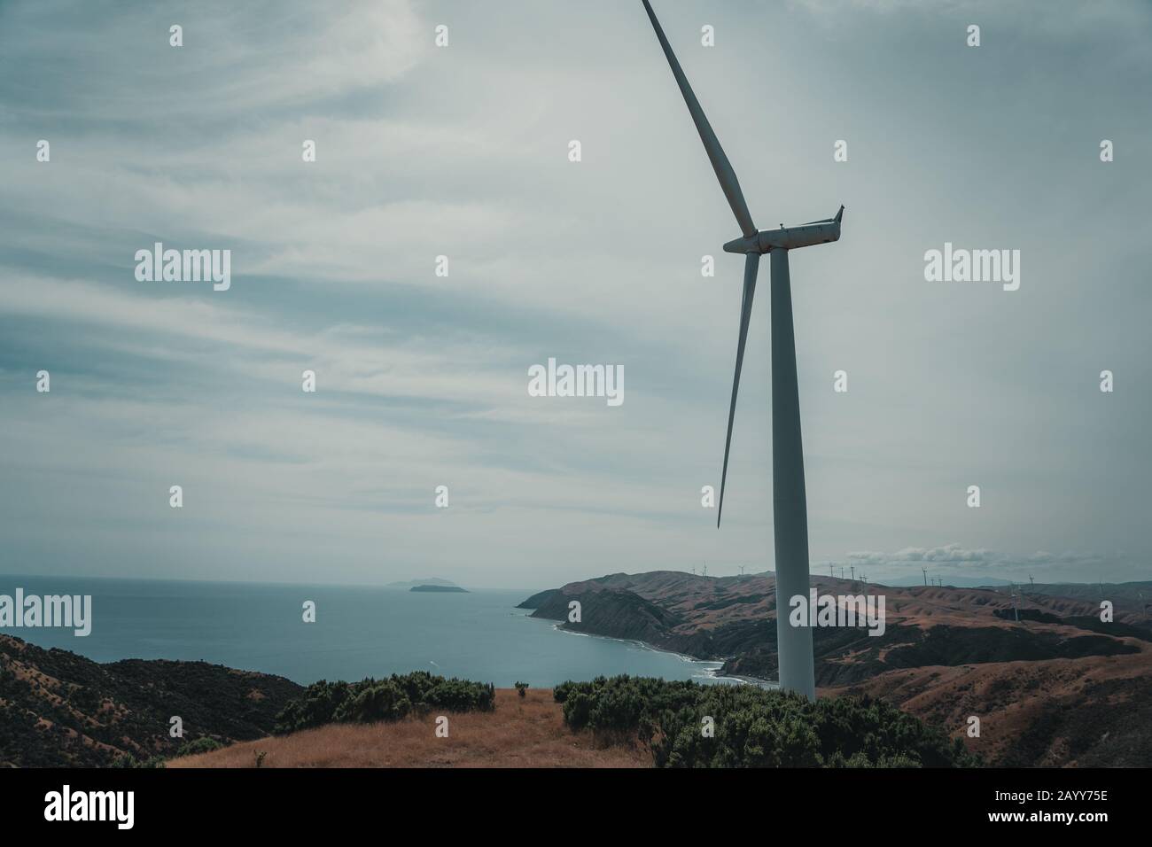 Makara bay hi-res stock photography and images - Alamy