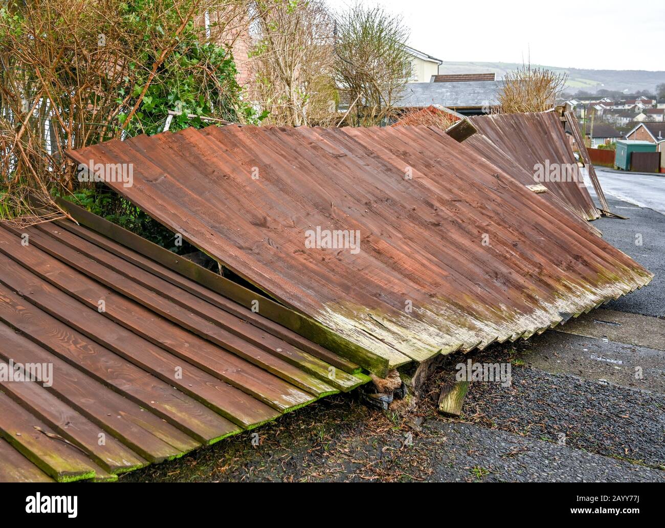 Wind damage garden hi-res stock photography and images - Alamy